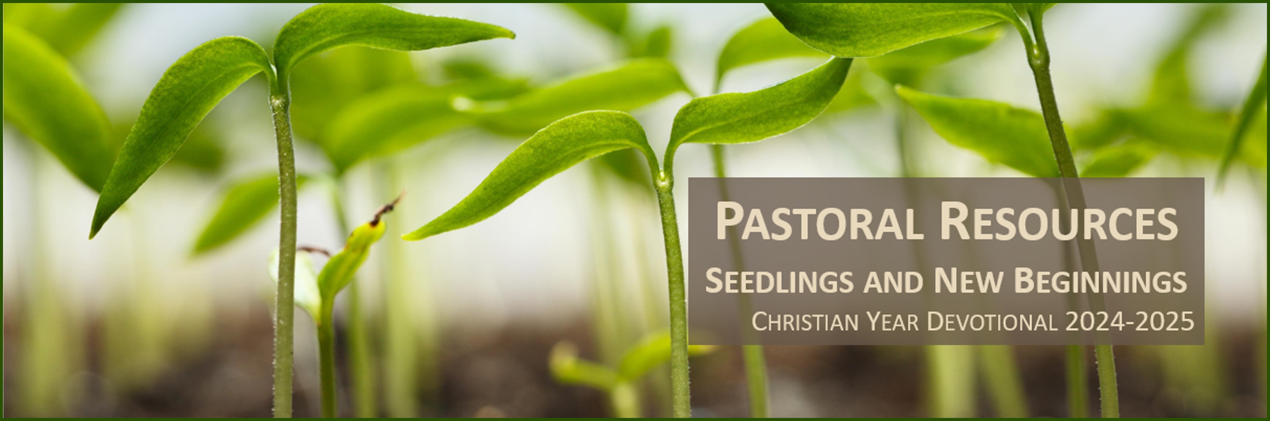Seedlings: Pastoral Resources | Christian Year Devotional